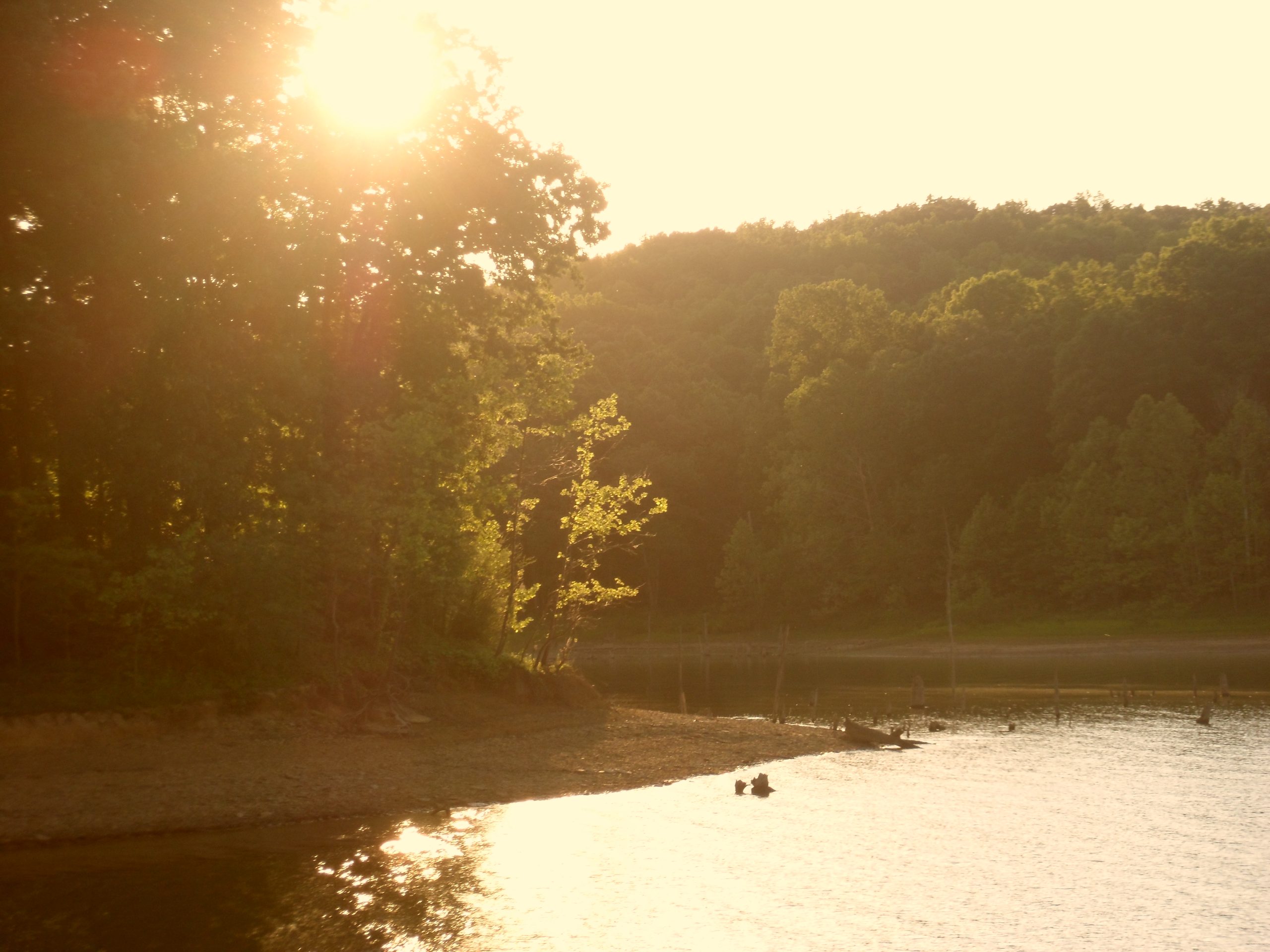 Adventure Awaits: Your Ultimate Guide to Patoka Lake - Visit Dubois County